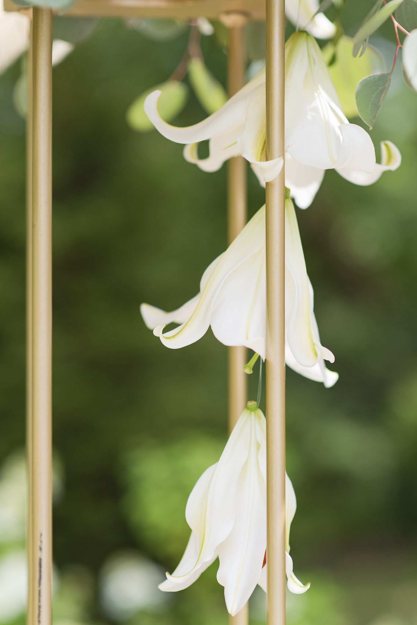 Satin & Stems // Garden Wedding Reception // The Balmoral House ...